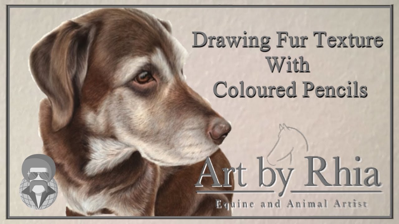 Drawing Fur Texture with Coloured Pencils - YouTube