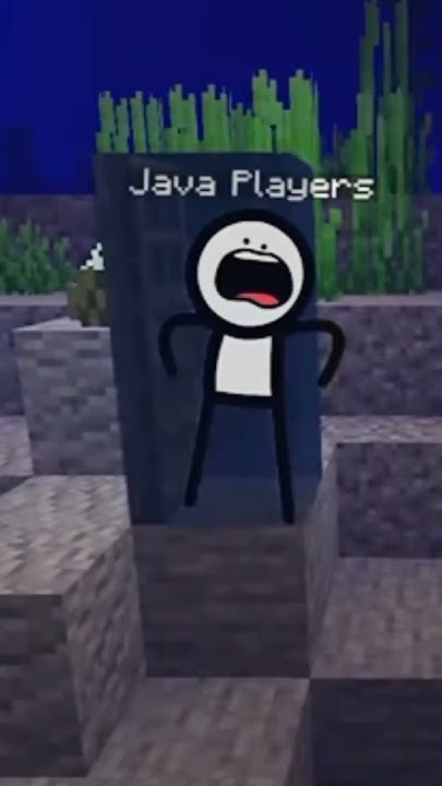 Java player vs bedrock player Minecraft 😂 #shortvideo #short #minecraft ...