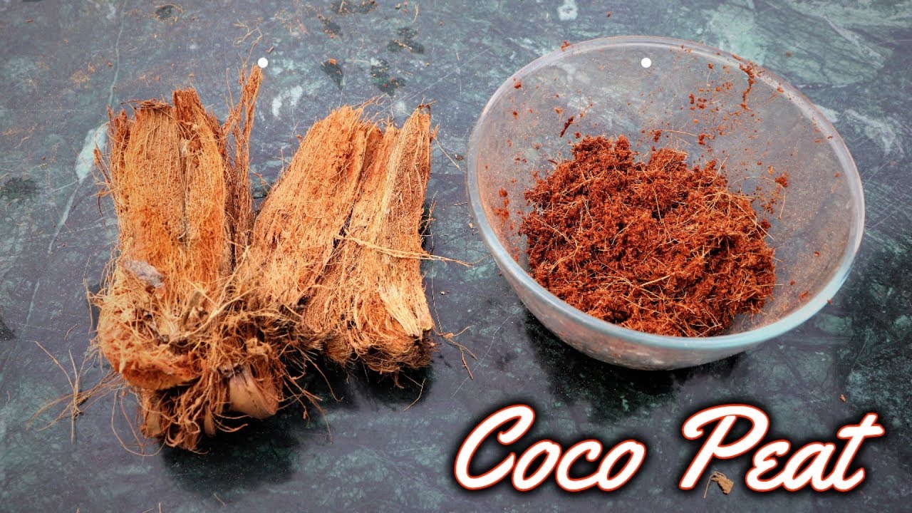 How To Make Coco Peat From Coconut Husk (Coconut Shells) Very Easily At ...