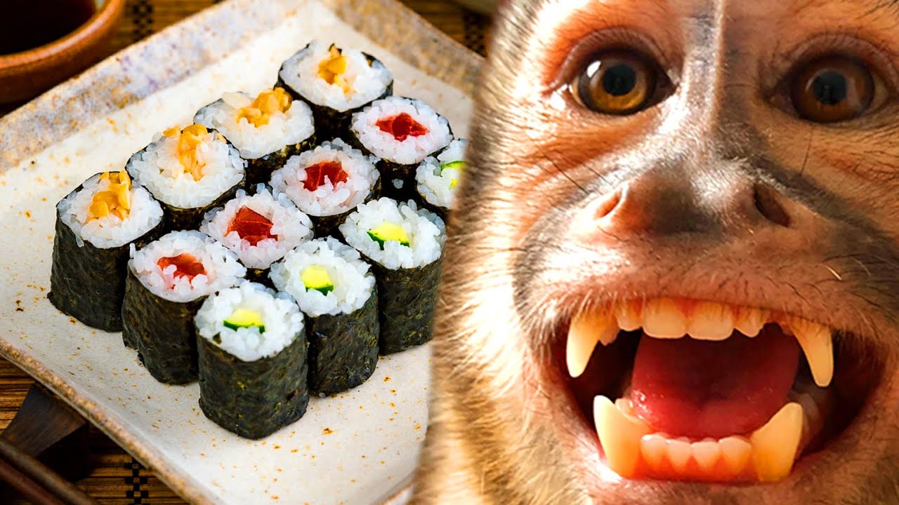 Jungle Monkey Sushi: Does Gaitlyn Rae Like It? - YouTube