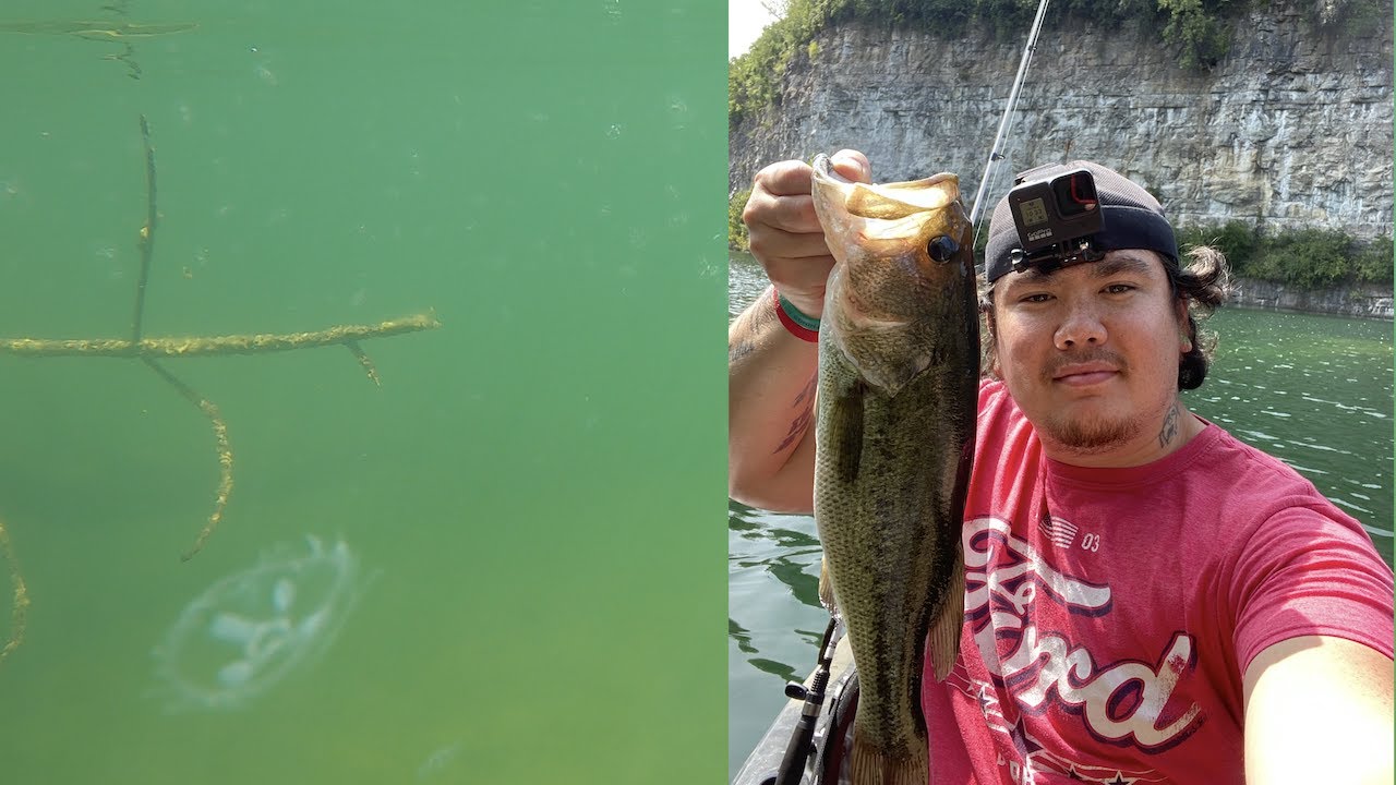 Bass Fishing A Beautiful Quarry!! Finding Thousands Of Freshwater ...