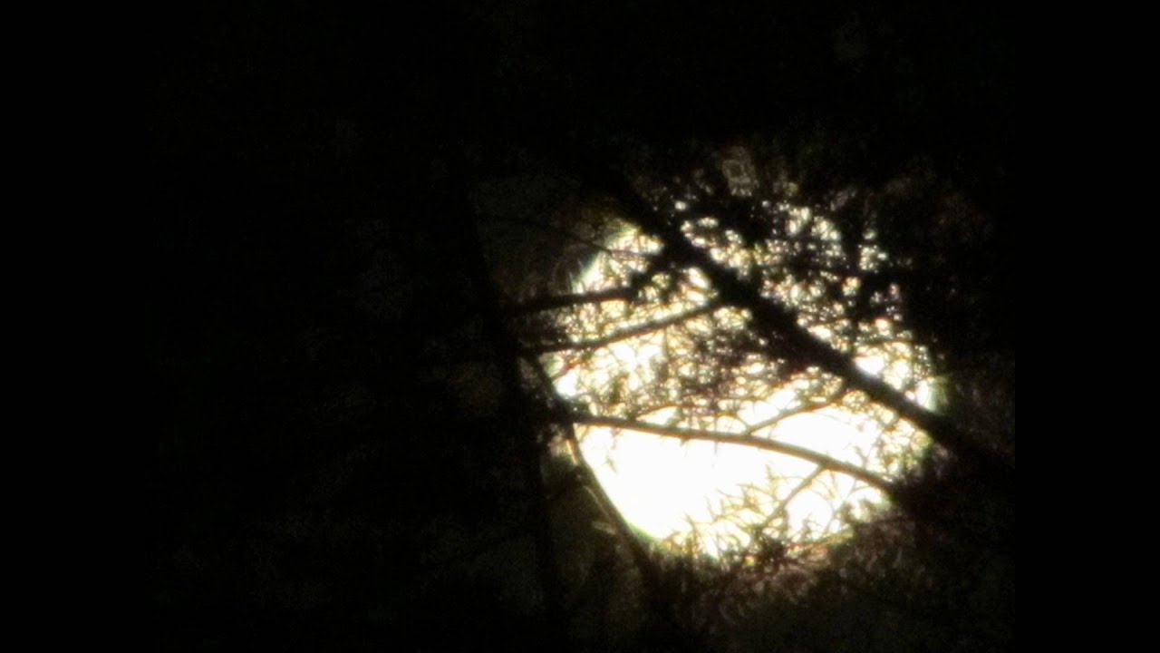 Pictures of the Super Moon (March 19th, 2011) as seen from Tampa, FL ...