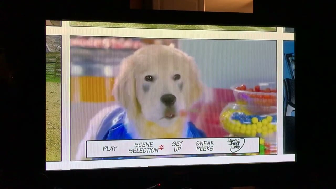 Super Buddies (2013) - DVD Menu Walkthrough - YouTube