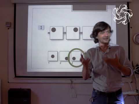 Clase 19 Entrenamiento cognitivo con Gastón Moisset - YouTube