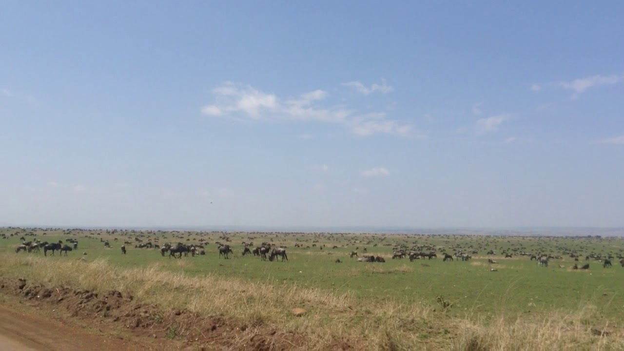 Welcome to Kapoto Adventures Safari - YouTube
