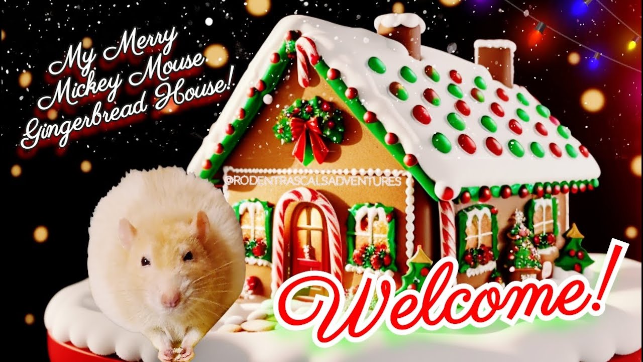 Fancy Rat's Mickey Mouse Gingerbread House - YouTube