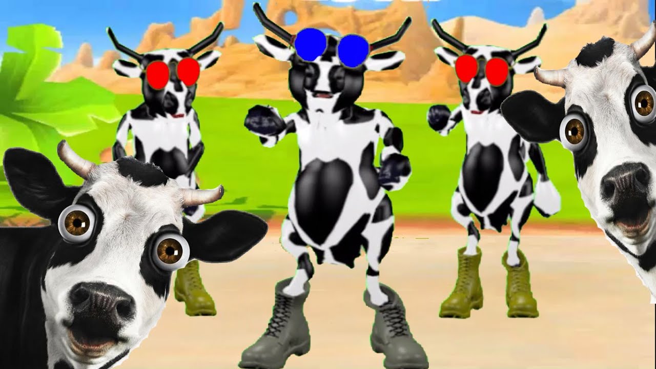 Cow Dance II - YouTube