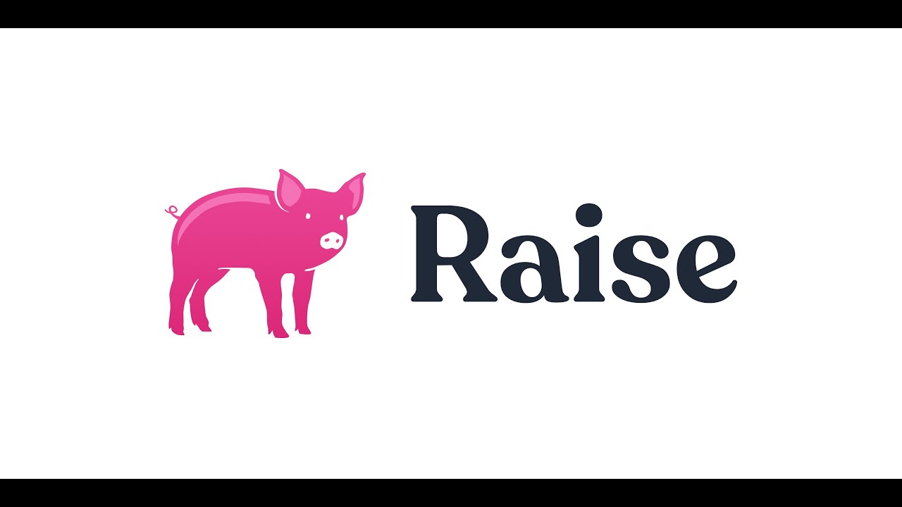 What is Raise Investment? - YouTube