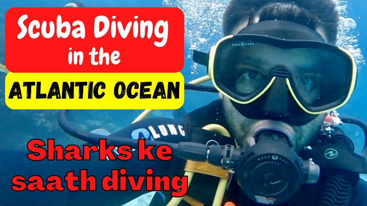 Scuba Diving in the Atlantic Ocean | Miami to Bahamas - Part 2 | Royal ...