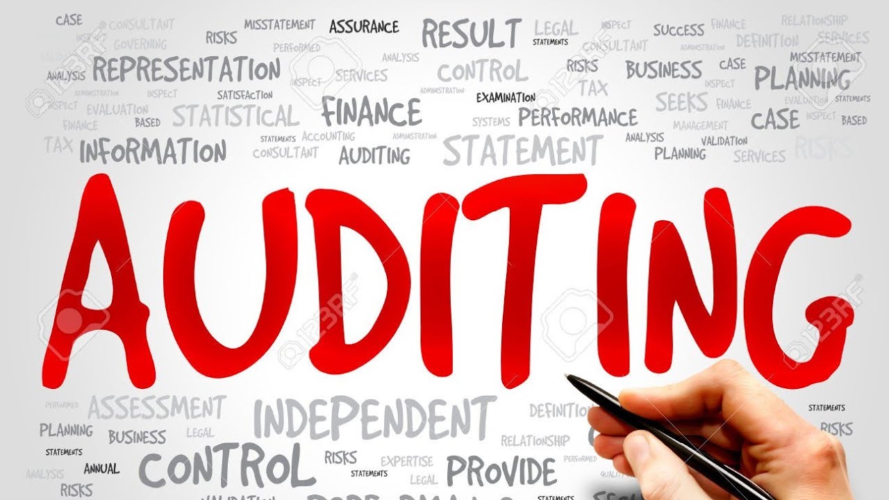 Origin and Evolution of Audit - Short & Simple #riyapatni - YouTube