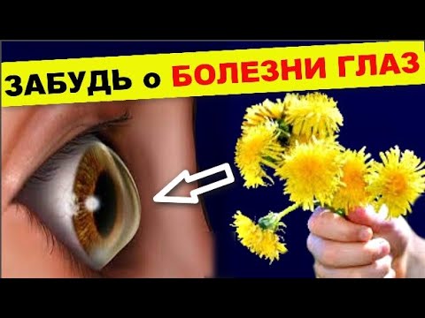 Одуванчик-таблетка для зрения . Волшебный рецепт улучшения зрения ...