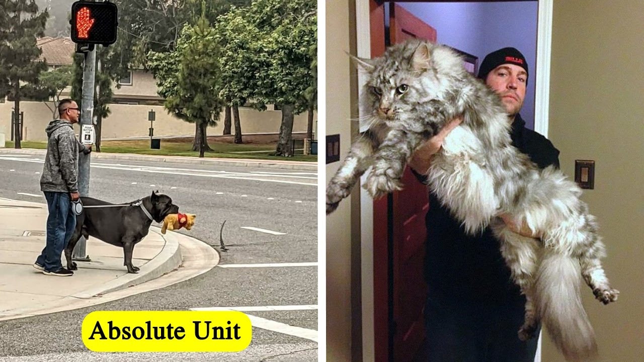 Photos With Humans For Scale To Show Just How Big Stuff Really Is - YouTube