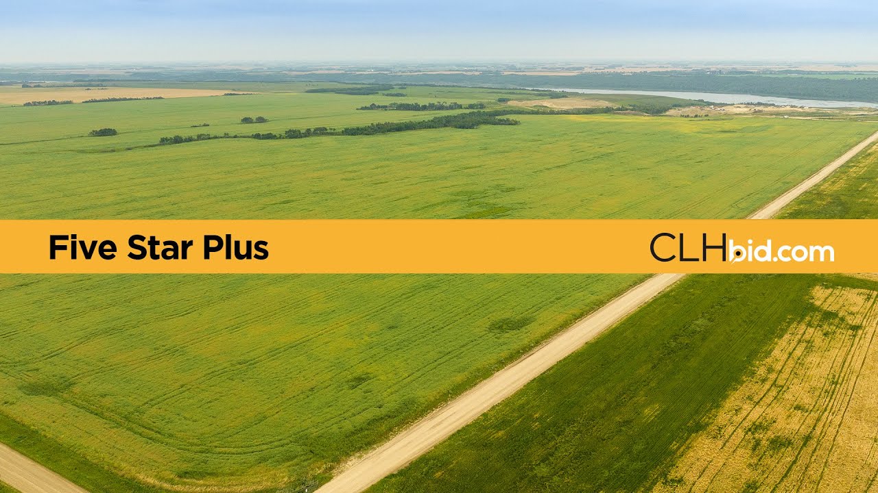 CLHbid.com - Five Star Plus - YouTube