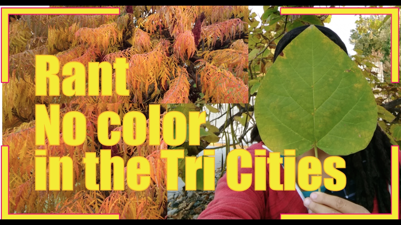 Rant - Response to "There is No Color in The Tri-Cities" - YouTube