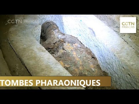 Égypte : découverte de quelques tombes pharaoniques et d'un atelier ...