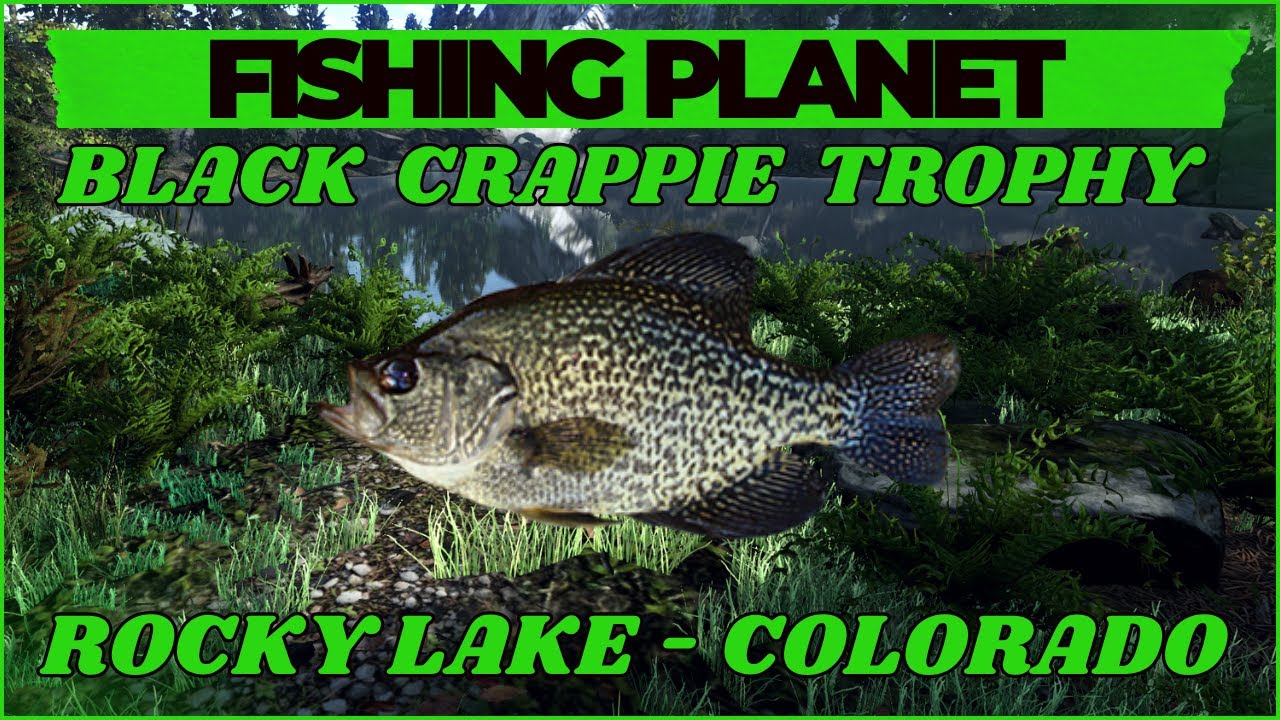 Black Crappie Trophy - Rocky Lake - Colorado - Fishing Planet - YouTube