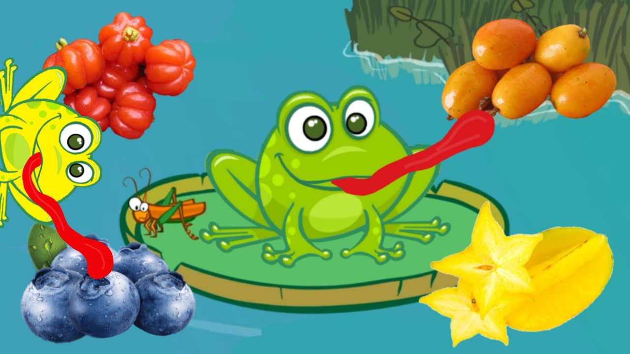 Sapo come frutas e muda de cor | Borboletinha ajuda o Sapo a voltar a ...