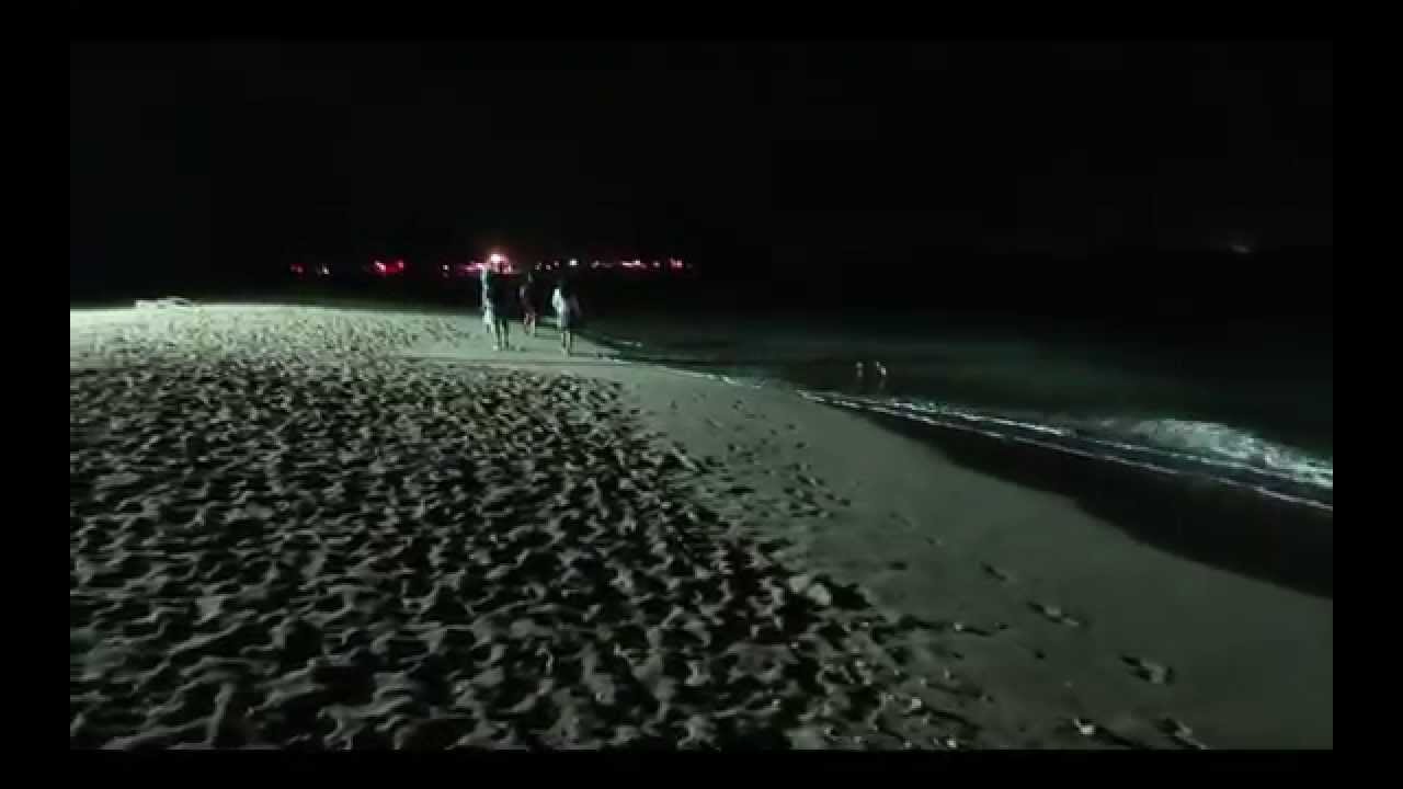Couple Walking On The Beach At Night