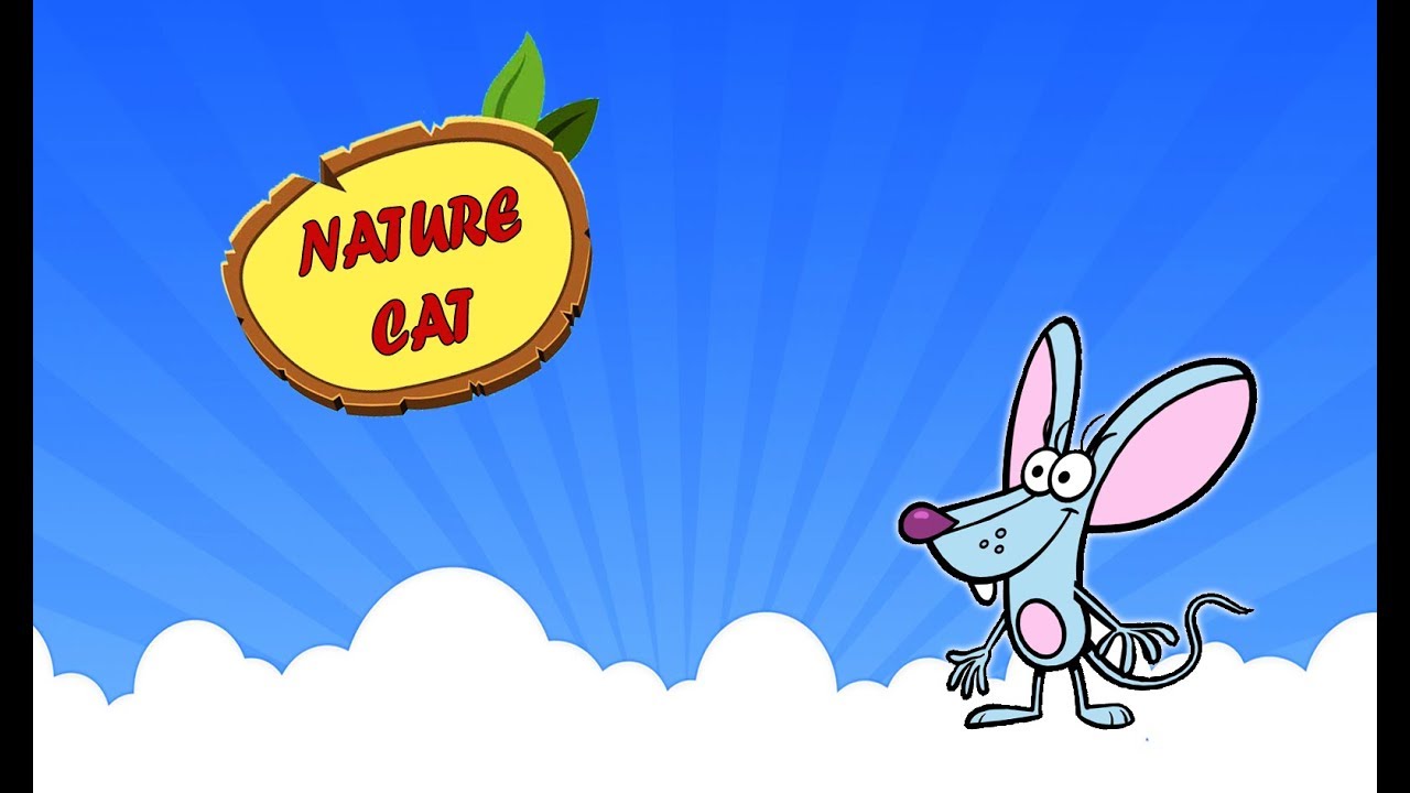 Nature Cat: Squeeks Run - YouTube