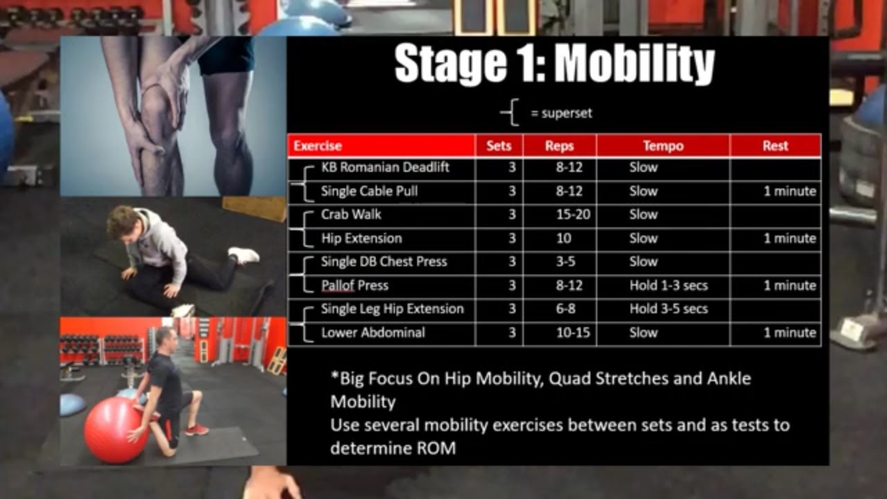 Knee Pain Rehab Workout - Phase 1 Mobility Focus - YouTube