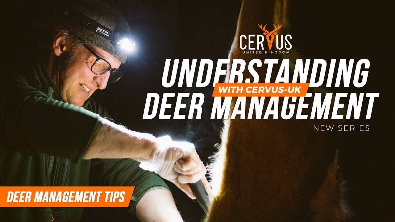 An Introduction | Understanding Deer Management - YouTube