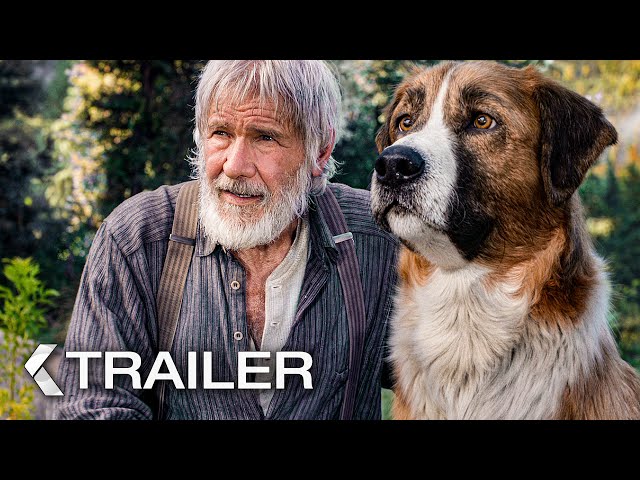 Hunde: Die 25 besten Filme • Filmpuls