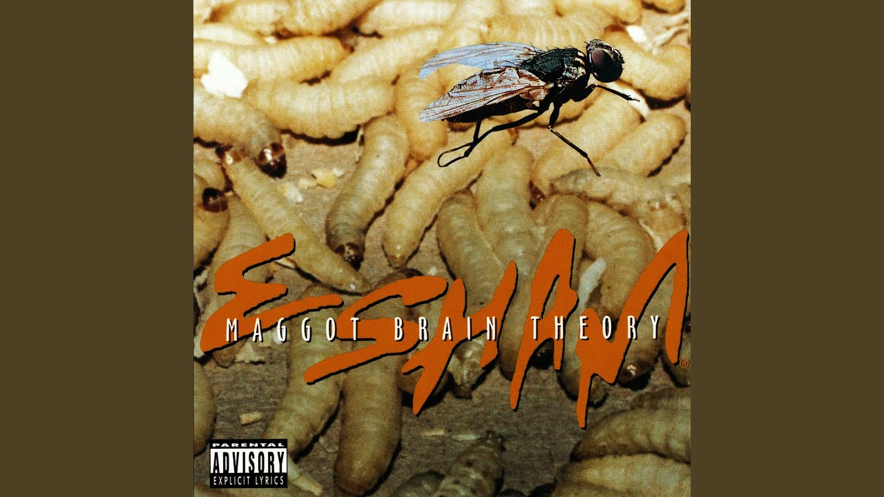 Maggot Brain Theory - YouTube