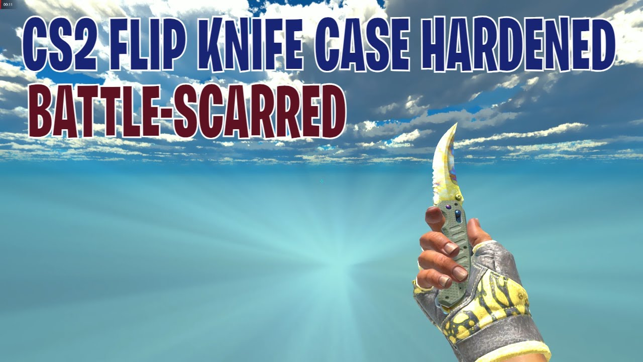 Flip Knife Case Hardened (Battle-Scarred) | CS2 Skin Showcase #491 ...