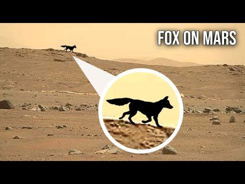 NASA Recently Released a New Video Footage of Mars in 4k || Latest Mars ...