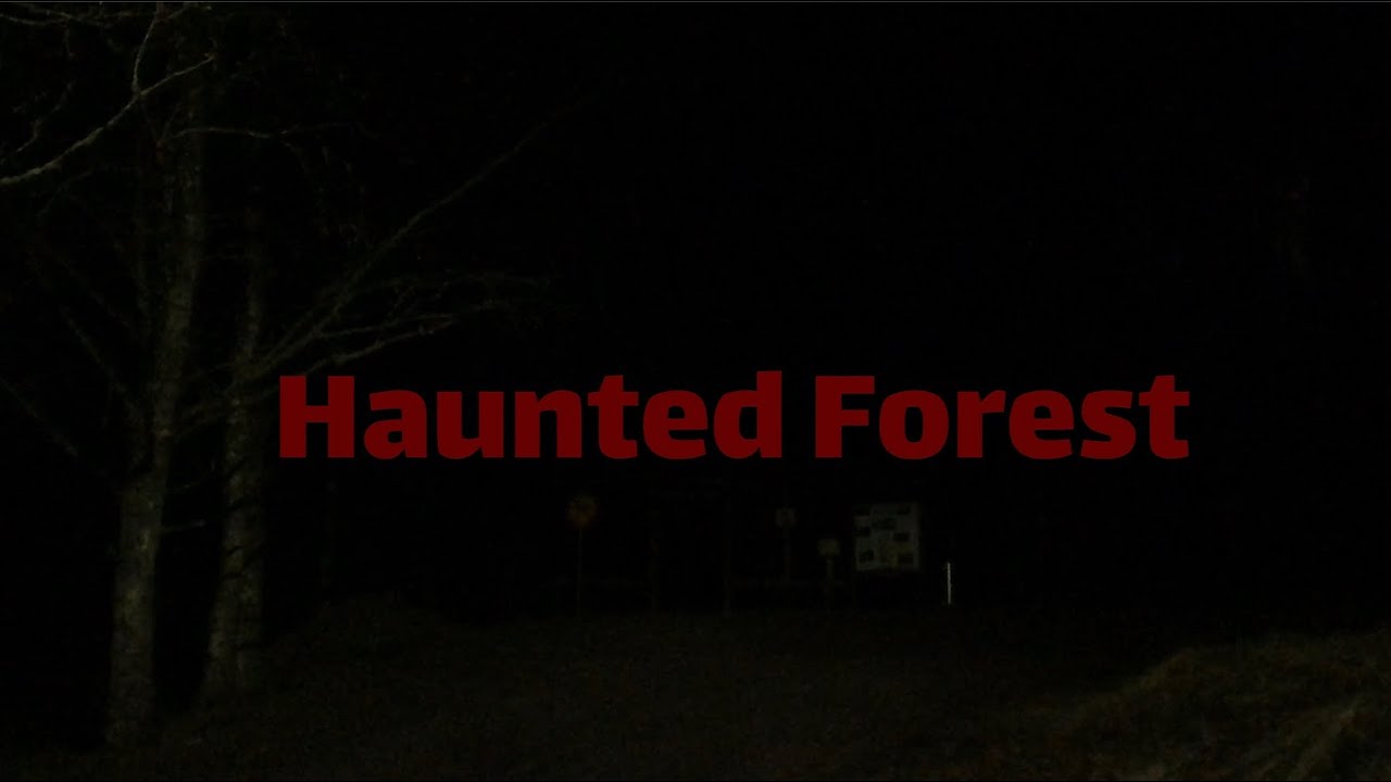 Exploring Haunted Forest (WARNING) - YouTube