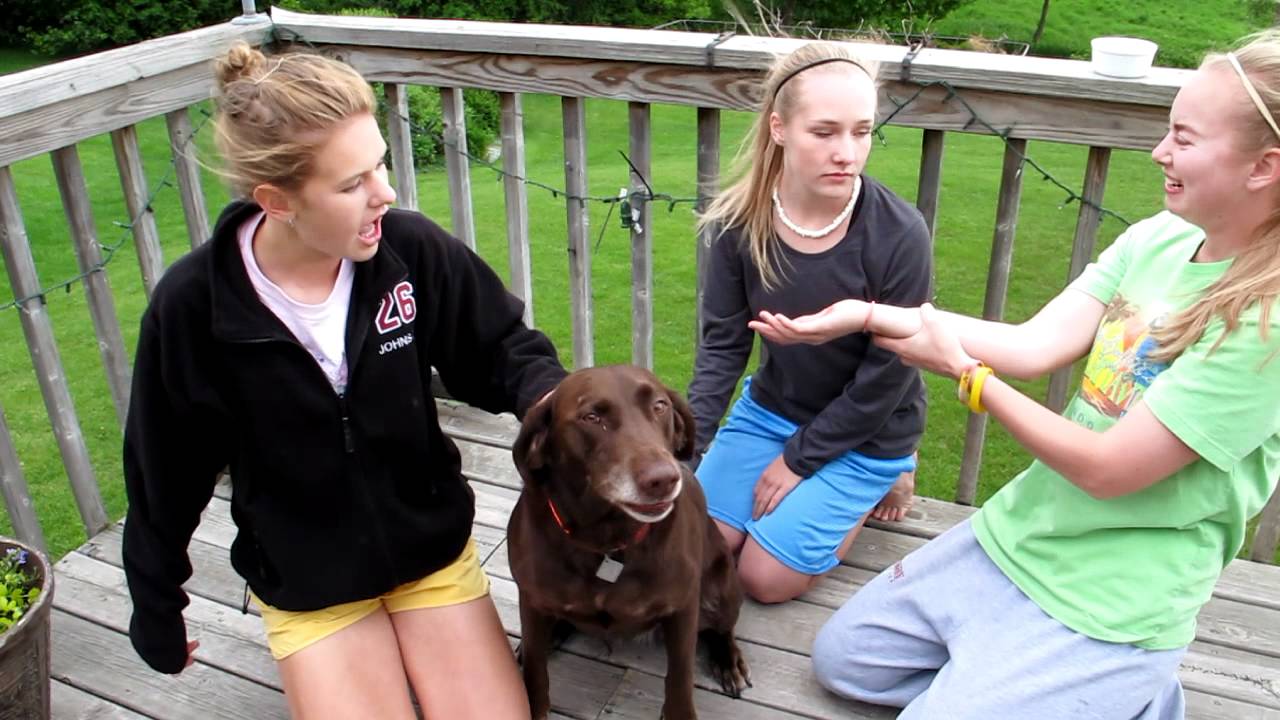 Spanish Doler Video 3 - YouTube