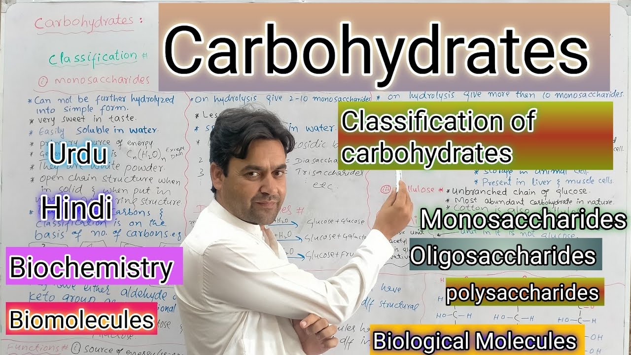 Carbohydrates || Classification || Biology || Class 11 || Dr Mushtaq ...