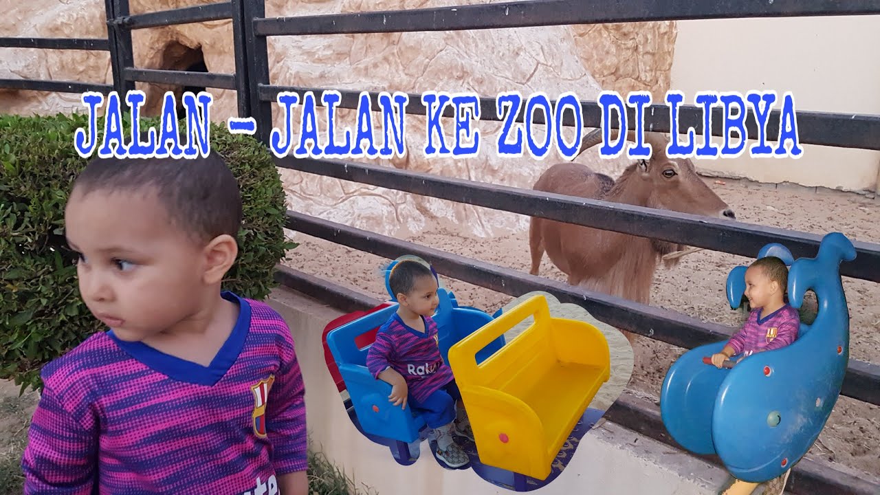 JALAN-JALAN KE ZOO DI LIBYA | ZOO IN LIBYA IS DIFFERENT - YouTube
