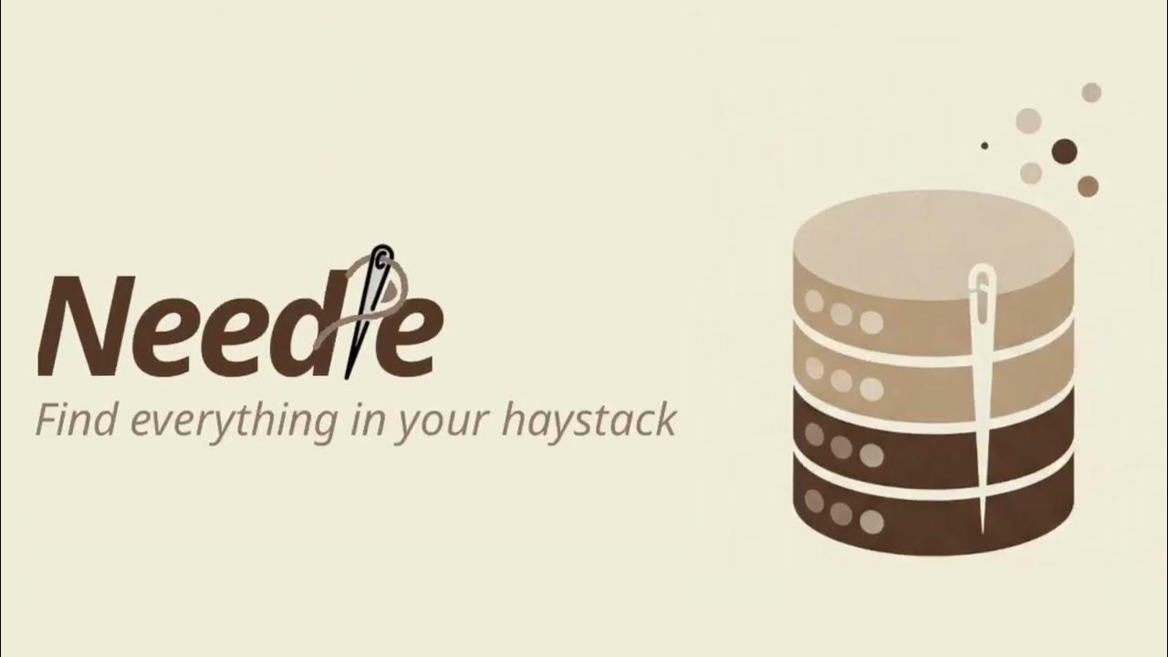 Needle: A Database for Image Content Retrieval using Natural Language Queries - YouTube