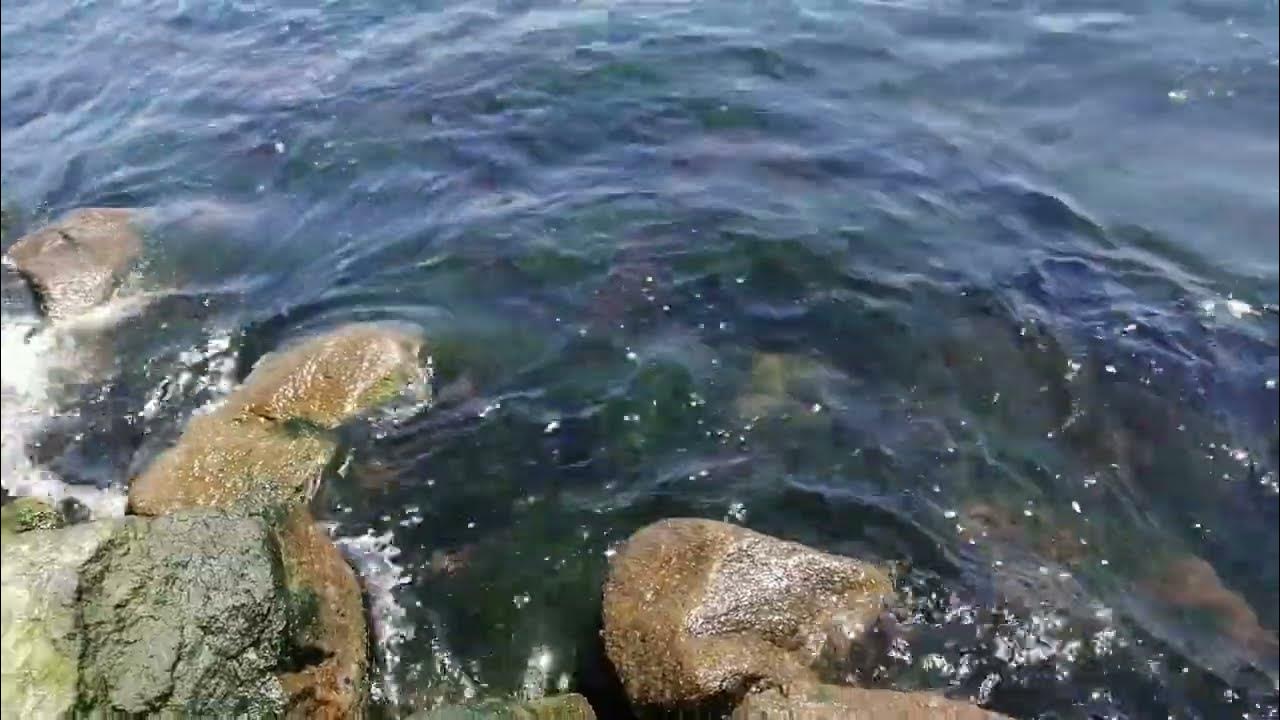 Шум моря 🌊 та звуки прибою 🎧 для спокійного, міцного сну та ...