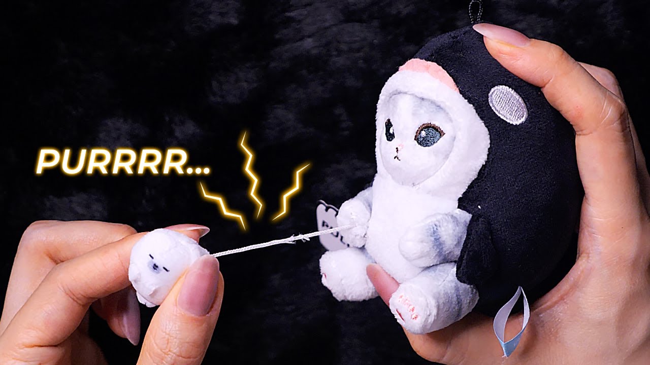 ASMR Purring Pull-String Mofusand Kitten Plushy (No Talking) - YouTube
