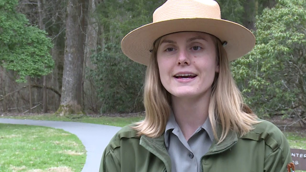 Proposed changes to Cades Cove Loop - YouTube