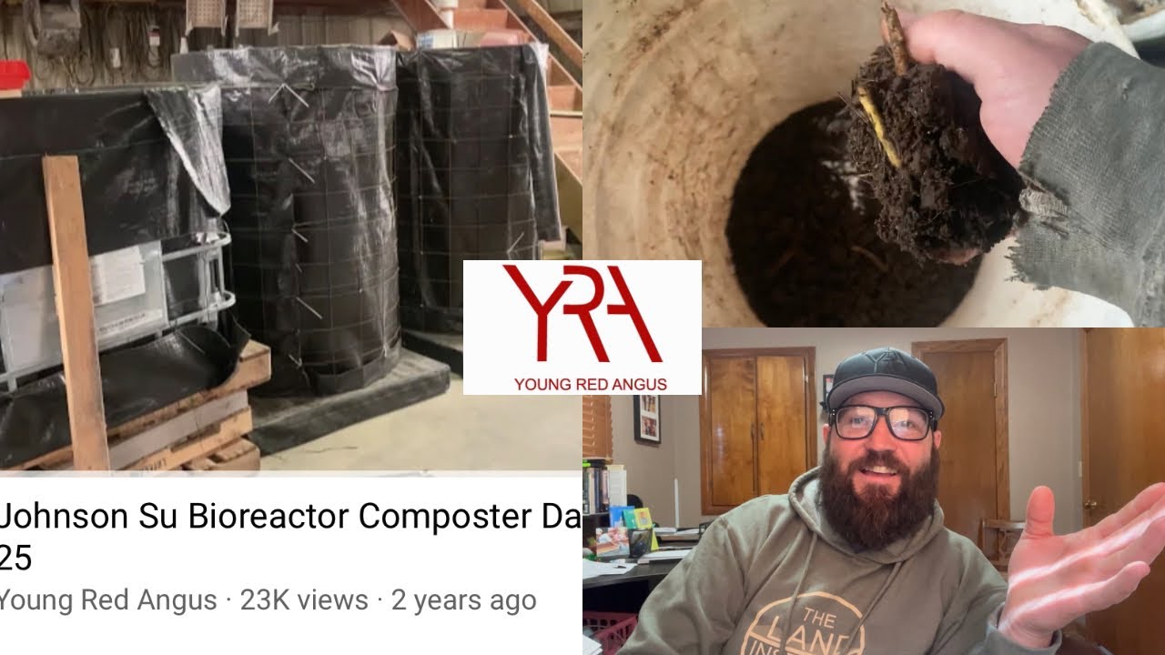 Reviewing My First Johnson Su Video - YouTube