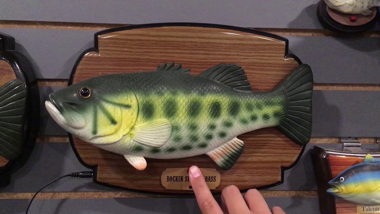 Rockin’ singing bass (Singing fish) - YouTube