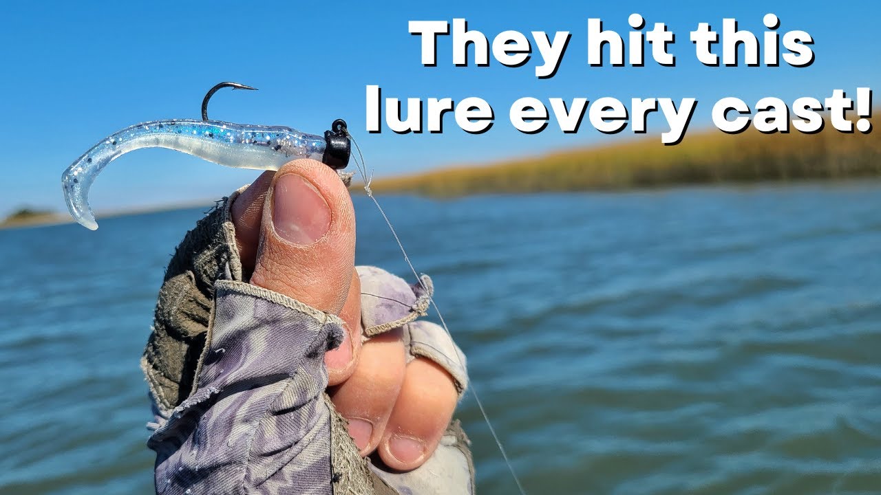 Catching Fish (practically) Every Cast! Fishing New Water - YouTube
