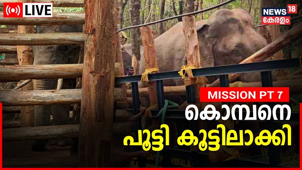 LIVE | Wild Elephant Captured | Palakkad Dhoni | PT7 | Dr Arun ...
