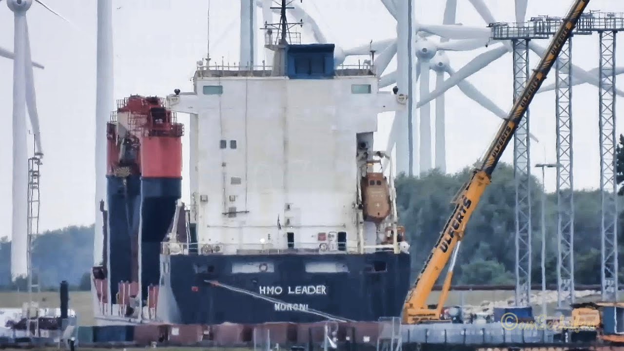 cargo seaship HMO LEADER D6A3644 car carrier SIEM CICERO D5LL4 ...