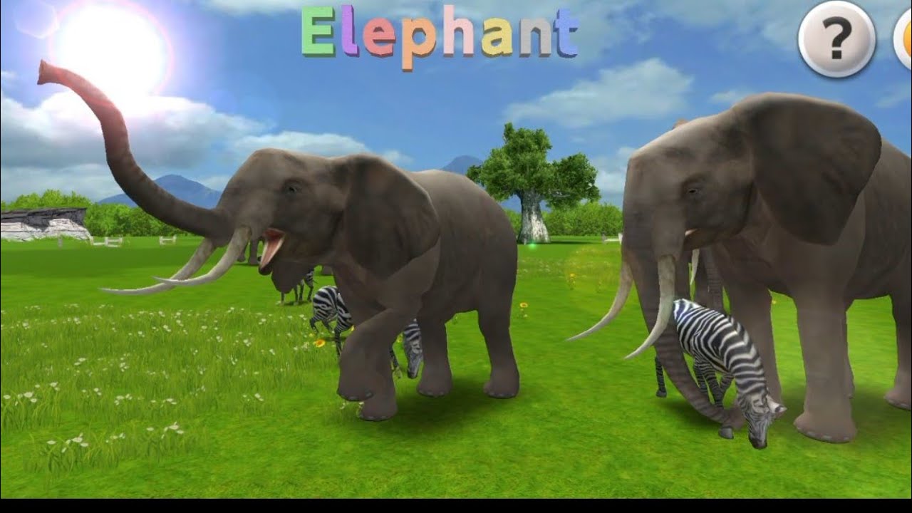 Elephan,zebra Ham bacha der video, kidsvideo#hellodollplay 🚛🚑🐱🐳🚚😀🚘🐳🏀🚓🏎️ ...