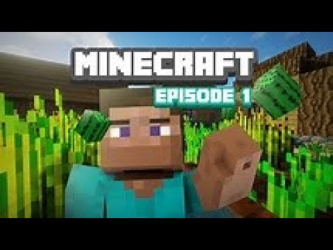 the beggining in minecraft| dream height - YouTube