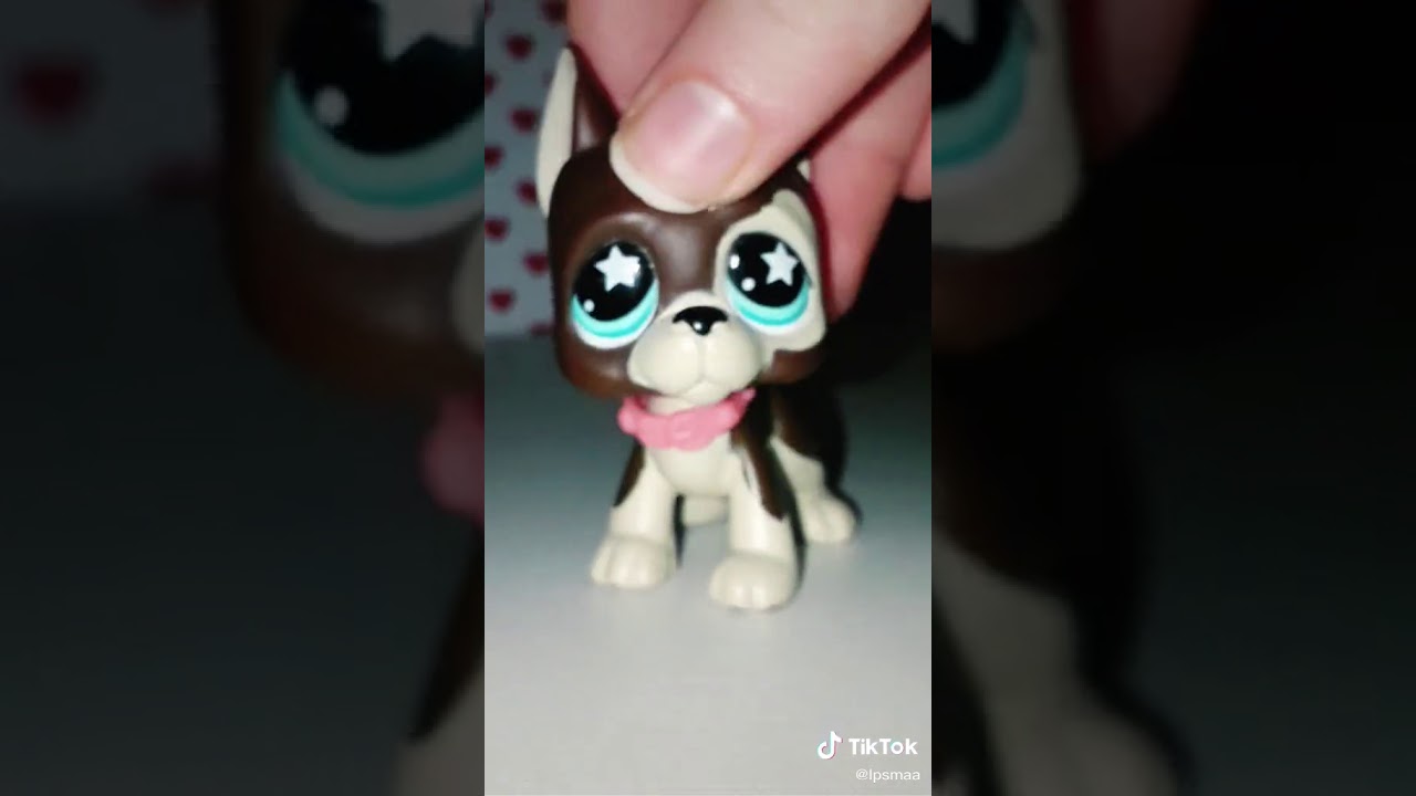 Ronii Back - YouTube