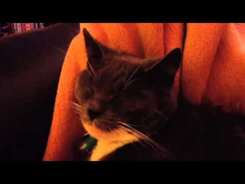 Snoring Princess - YouTube