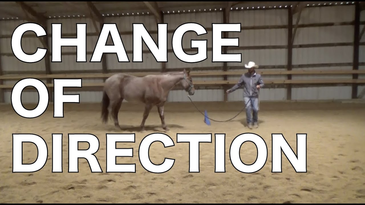 Change of Direction with Your Horse - YouTube