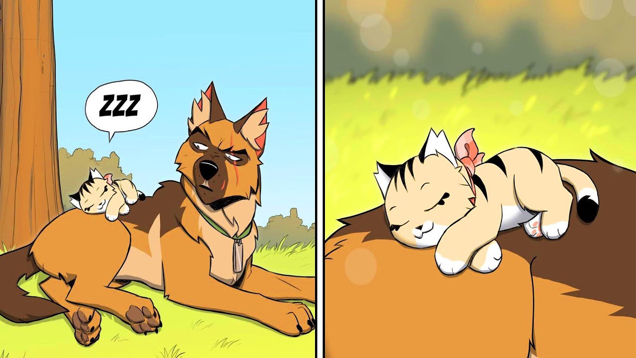 Adorable Comics About Military Dog and Cute Kitten Friendship || Pets ...