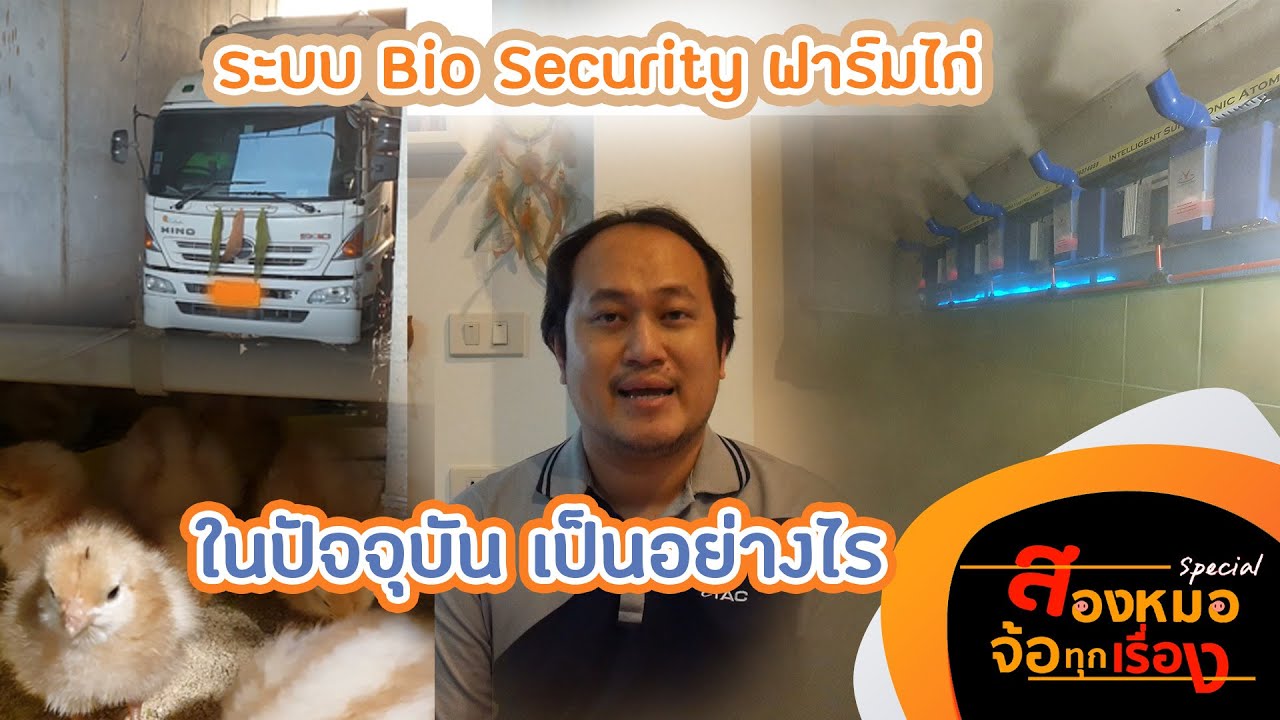 Biosecurity ในฟาร์มไก่เป็นอย่างไร มาดูจุดสำคัญป้องกันโรคของฟาร์มไก่ สองหมอ จ้อทุกเรื่อง poultry ...