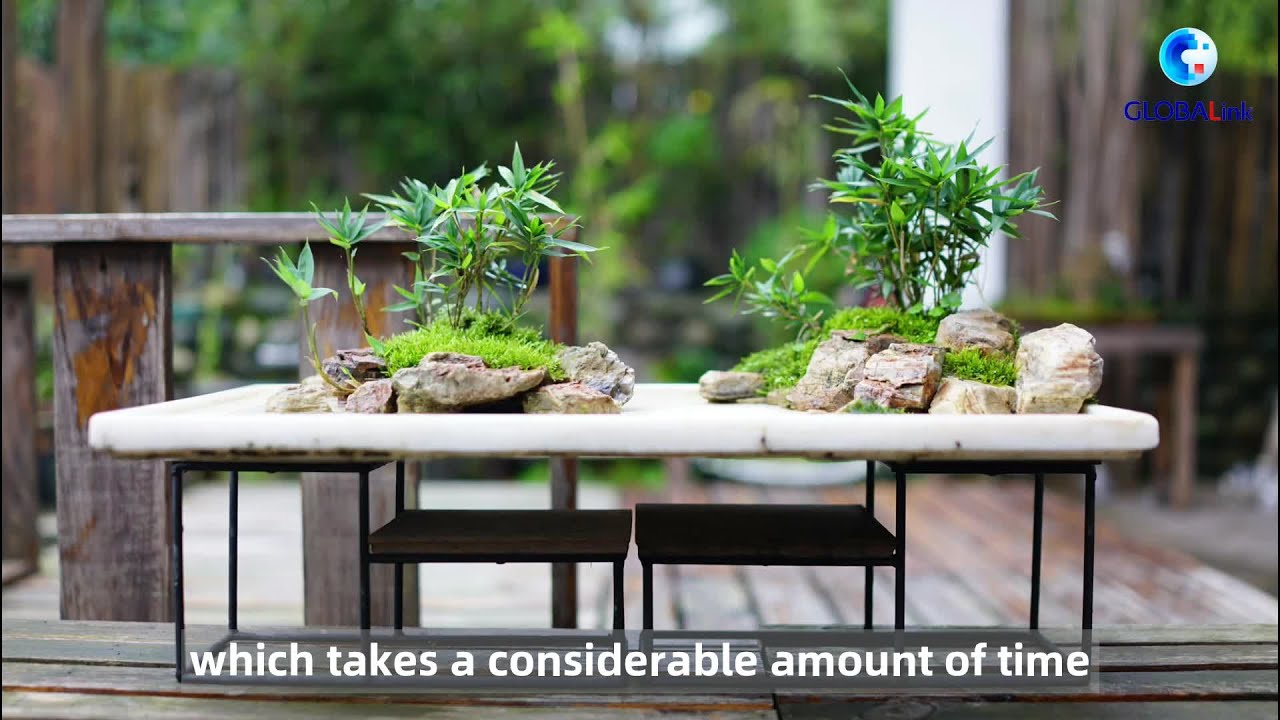 GLOBALink| Sichuan-style Penjing master meets face-to-face with ...